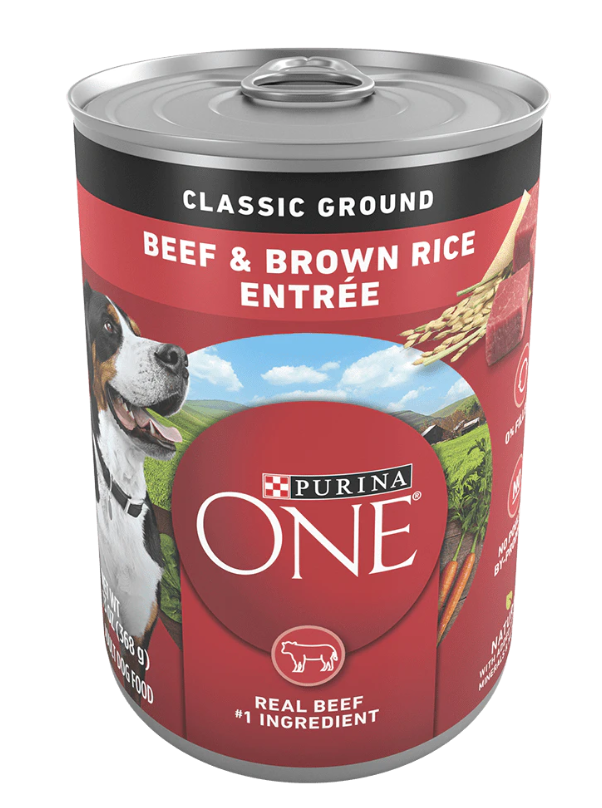 Purina ONE Beef & Brown Rice Entrée Classic Ground Wet Dog Food 13oz ...