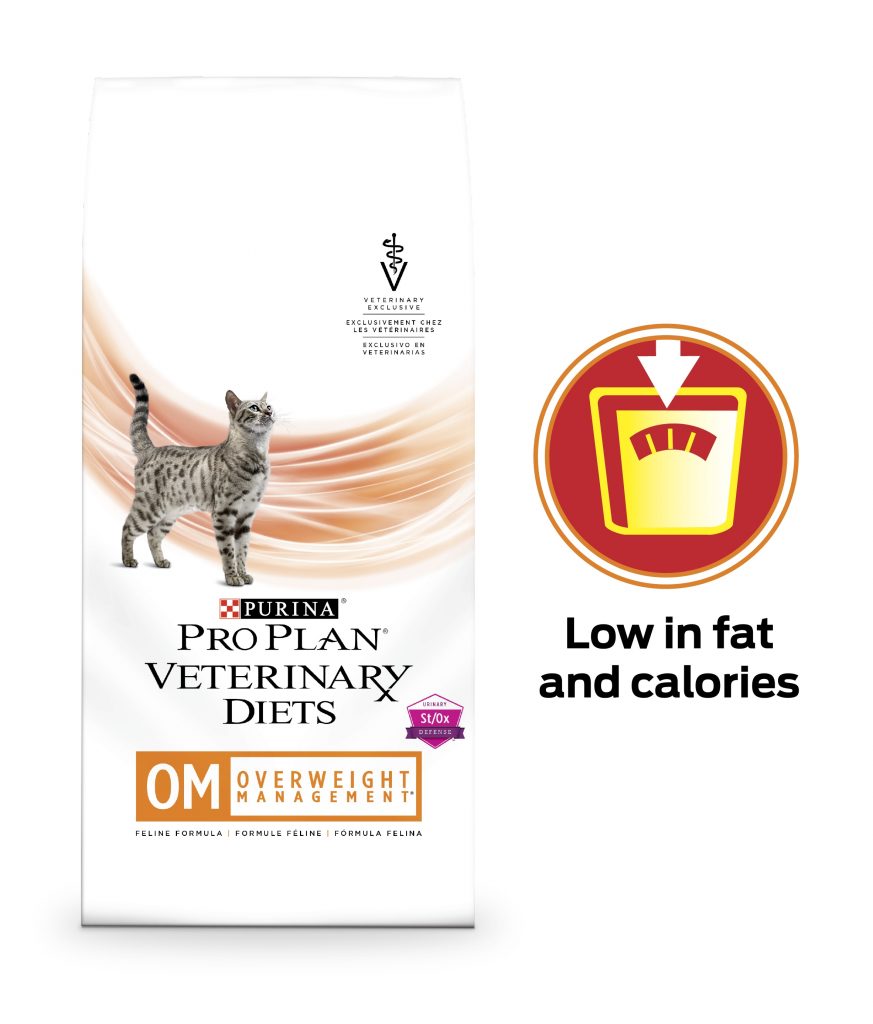 OM Overweight Management Feline Formula 6lb – Purina Express